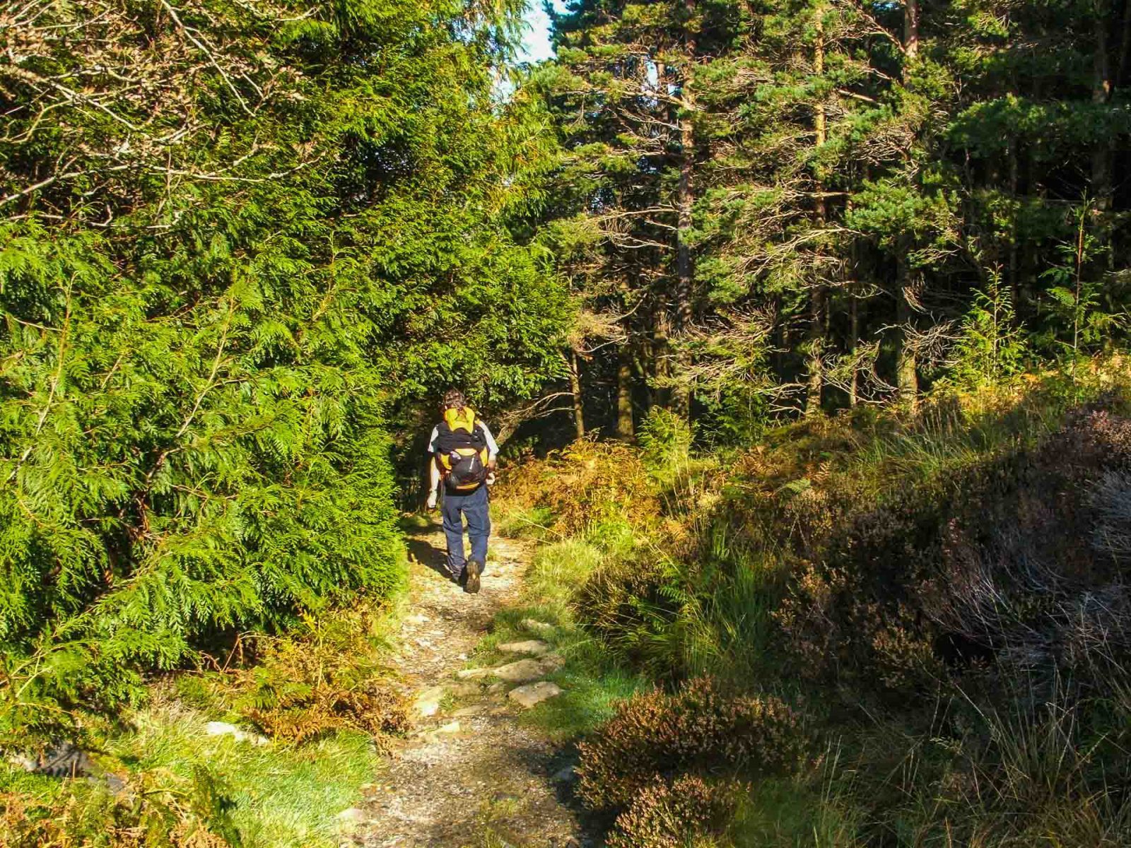 Moel Siabod - the Best Walks Up | Walking In Eryri Snowdonia | Walk up ...