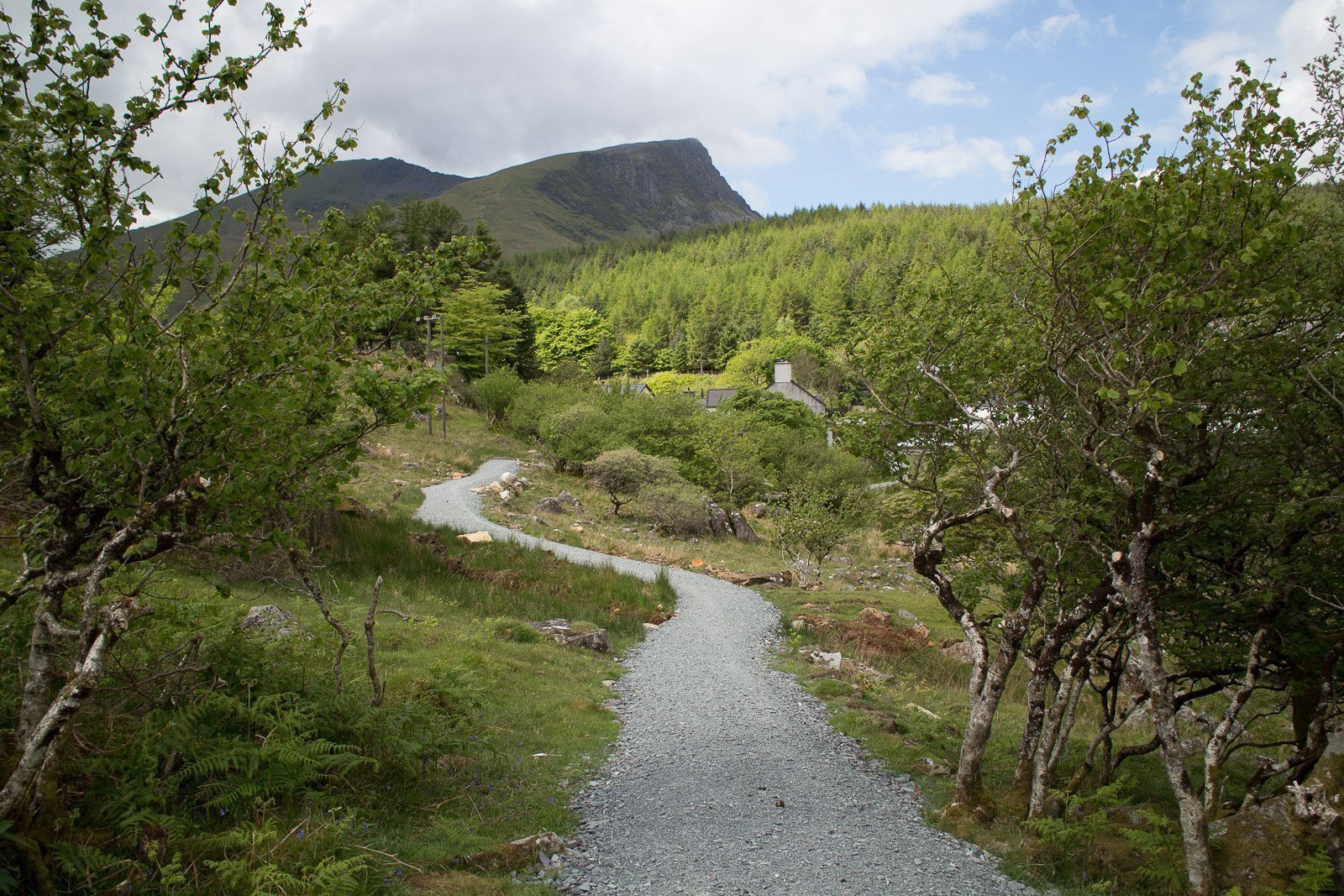 Snowdon Circular Walk | Low Level and Easy Family Walks in Eryri ...